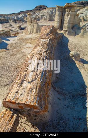 Classic American Landscapes: Bisti Wilderness in NW New Mexico is an ...
