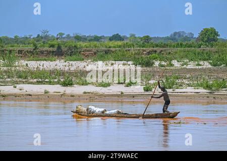 Pirogue, dugout, canoe on Tsiribihina river, Madagascar Stock Photo - Alamy