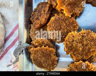 Madagascar, little gecko on sweets Stock Photo - Alamy