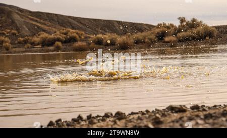 Water Splashing Mojave Desert Stock Photo - Alamy