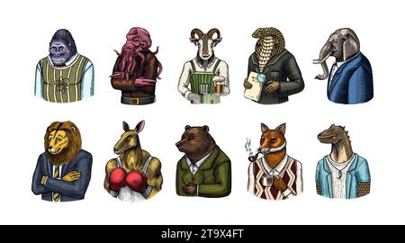 Grizzly Bear, Octopus, t-rex dinosaur, Elephant, Indian cobra snake ...