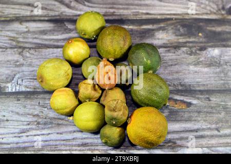 Lemon with mold, mould is one of the structures that certain fungi can ...