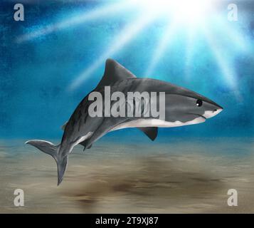 Tiger Shark, illustration Stock Photo - Alamy