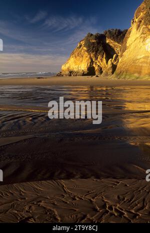 Beach and headland, Hug Point State Park, Oregon Stock Photo - Alamy