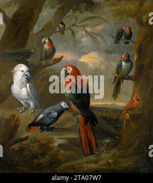 Parrots in an Extensive Woodland Landscape - by Tobias Stranover Stock ...