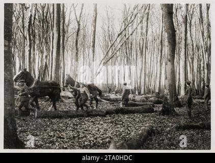 forest, army soldier, world war i, ww1, wwi, world war one Stock Photo ...