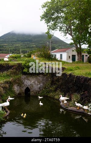 Capturing the Breathtaking Beauty of the Azores, Portugal: An ...