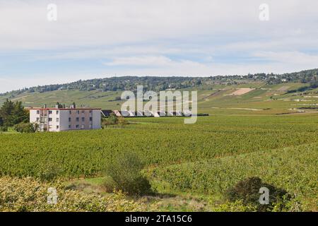 a view of vineyards north of Beaune, France Stock Photo - Alamy