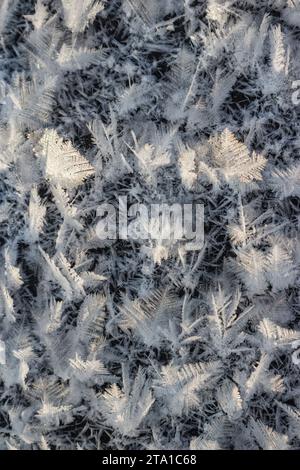 Large crystalline frost grown on ice on a frosty day close-up, northern ...