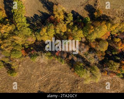 Aerial view of the Eyne Valley in autumn (Haute Cerdagne, Pyrénées ...