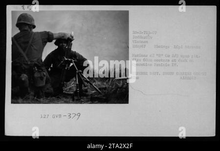 Marines Firing Mortars During Operation Spartan Fury by #PACOM Stock ...