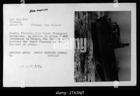 Marines of Huskie Platoon, 11th Motor Transport Battalion, and 2nd ...