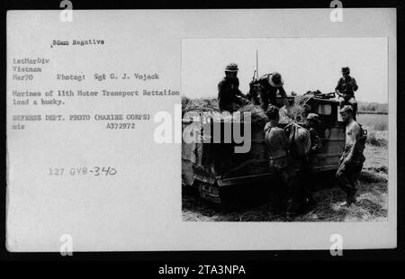 A U.S. Marine Corps logistical vehicle system replacement (LVSR) of 1st ...