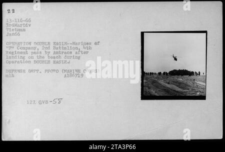 US Marines land at the beachhead in Da Nang, Vietnam on March 9, 1965 ...
