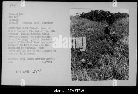 Marines of H&S Company, 2nd Battalion, 4th Marines, are seen ...