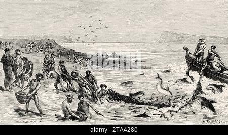 Ancient fishing Mule fishing operated in antiquity with the help of ...