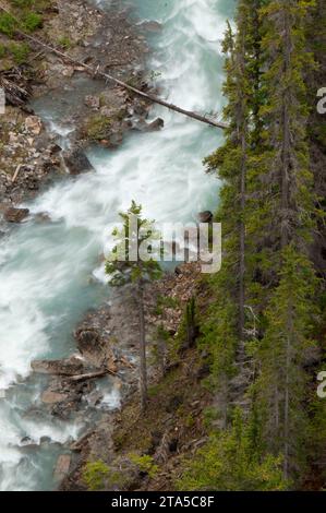 Nigel Creek, Banff National Park, Alberta, Canada Stock Photo - Alamy
