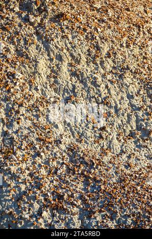 The Texture of the Ground in the Badlands at Theodore Roosevelt ...