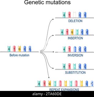 Chromosomal abnormalities. Deletion, duplication, inversion, translocation, insertion ...