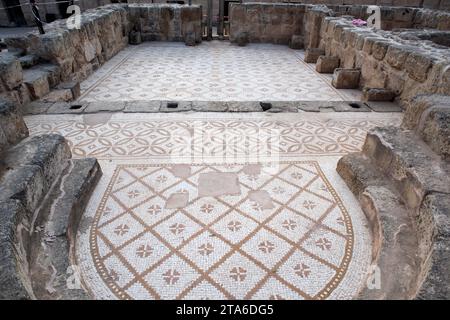 Jerash, the Byzantine church of Marianos. Mosaics Roman ruins, Jerash ...