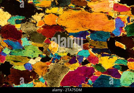 Polarised light micrograph of a thin section of common brass showing ...