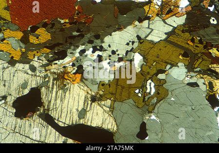 Anorthosite is an igneous intrusive rock rich in plagioclase. Photomicrograph, thin section ...