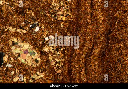 Pisolitic limestone is a kind of sedimentary rock. Photomicrograph ...