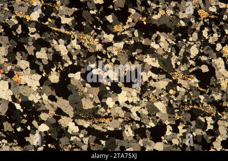 Quartzite is a metamorphic rock mostly made of quartz. Photomicrograph ...