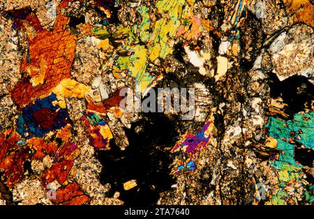 Diorite is an igneous intrusive rock intermediate between gabbro and ...