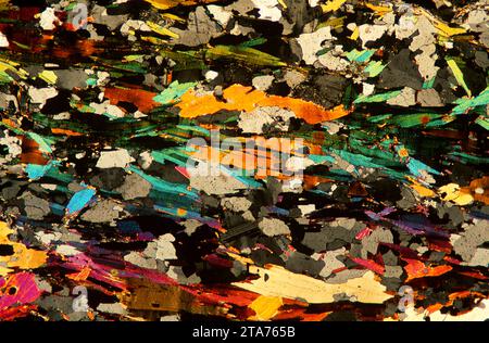 Schist is a metamorphic rock formed by mudstone. Photomicrograph, thin ...