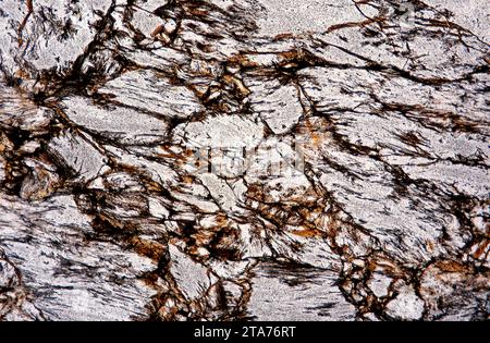 Obsidian is a volcanic glass. Photomicrograph, thin section, polarized ...