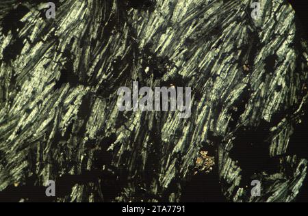 Trachyte is an igneous extrusive rock equivalent to plutonic syenite. Photomicrograph, thin ...