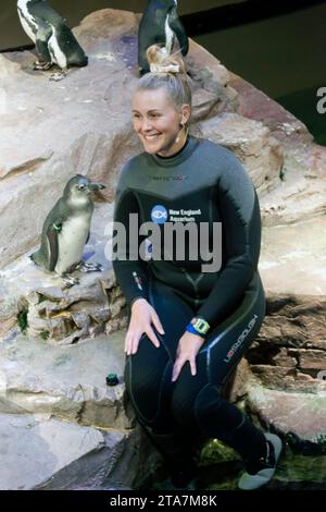 African penguins at New England Aquarium , Penguins. Edmund L. Mitchell ...