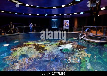 View of the top of the Giant Ocean Tank at the New England Aquarium ...