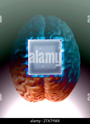 Human brain anatomical model with CPU processor microchip on gray ...