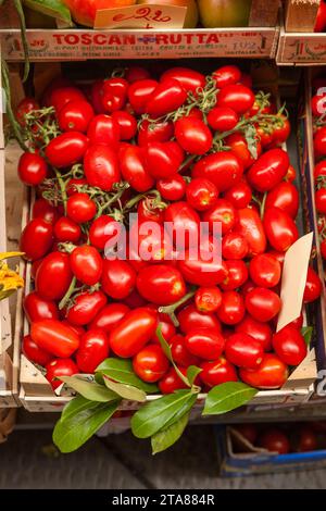 Italian tomatoes, Florence, Italy Stock Photo - Alamy