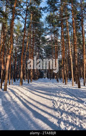 A panoramic view of frozen shrubs on the edge of Niagara Falls in ...