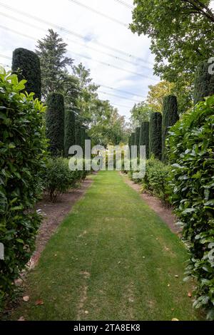 Park with meadow and path between trees in summer Stock Photo - Alamy