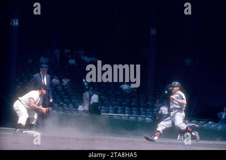 DETROIT, MI - JUNE 29: Ted Lepcio #22 of the Detroit Tigers puts the ...
