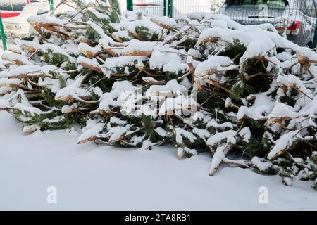 A landfill filled with discarded Christmas trees, a common sight after ...