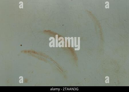 Dirty green background swamp shade old surface texture background ...