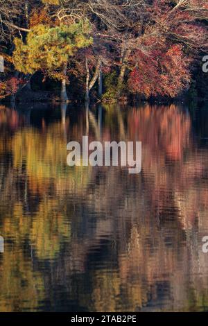 Autumn Trees Reflected in The Delaware River Stock Photo - Alamy