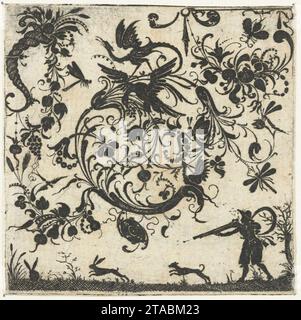 Voluut met vogels en insecten Stock Photo - Alamy