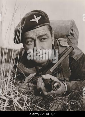 Paratrooper Red Beret Alan Ladd 1953 Directed By Terence Young Stock Photo - Alamy