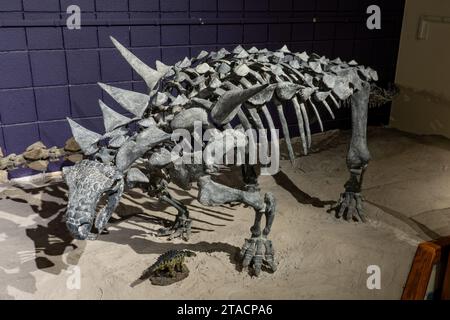 Reconstructed skeleton of an Animantarx ramaljonesi, an armor-plated ...