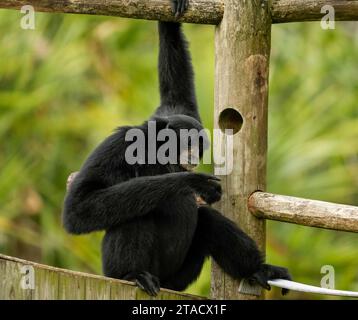 Naples, United States. 29th Nov, 2023. Naples, Florida, Friday ...