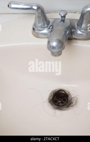 Dirty and disgusting shower drain, close up view. Clogged drain with ...