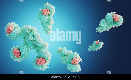 3D rendering of forming human apoptosome molecule contains seven Apaf-1 ...