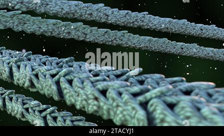 The actin cytoskeleton is essential for maintaining the shape and ...