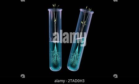 3D rendering of plant germination inside a test tube and a close-up of ...